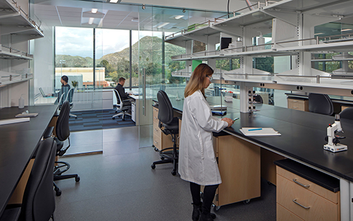 2024 IEP Designee - University of California Riverside - APLU